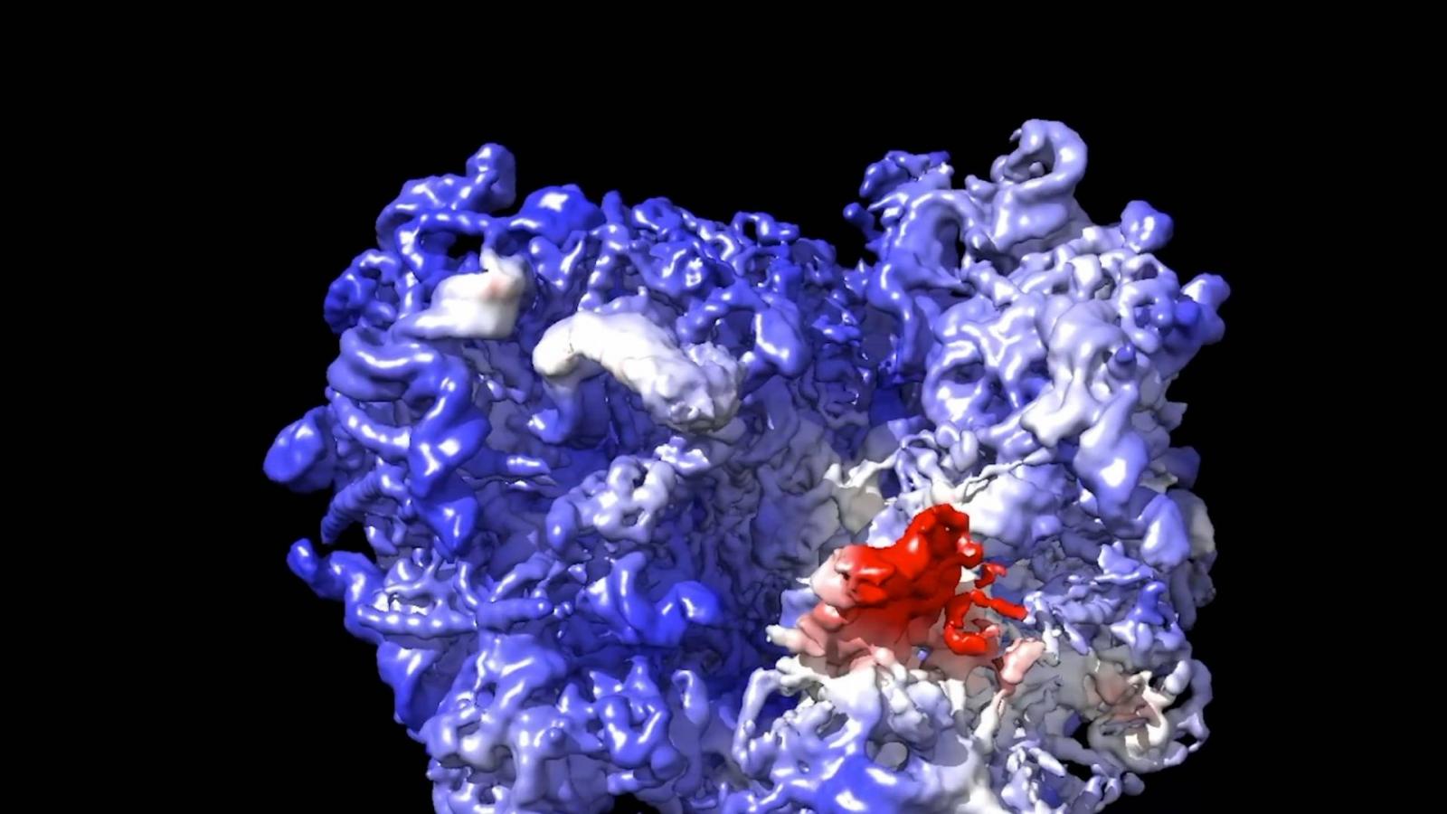 Software For Determining The 3d Structure Of Proteins The Program In Applied And Computational