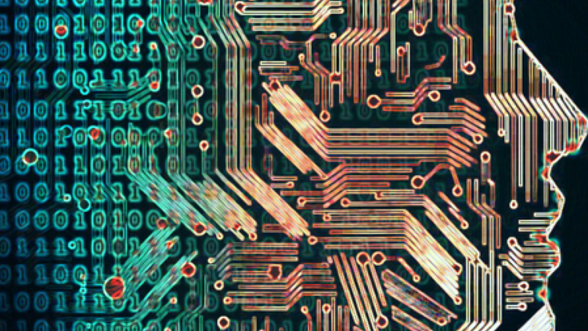 The Program In Applied And Computational Mathematics